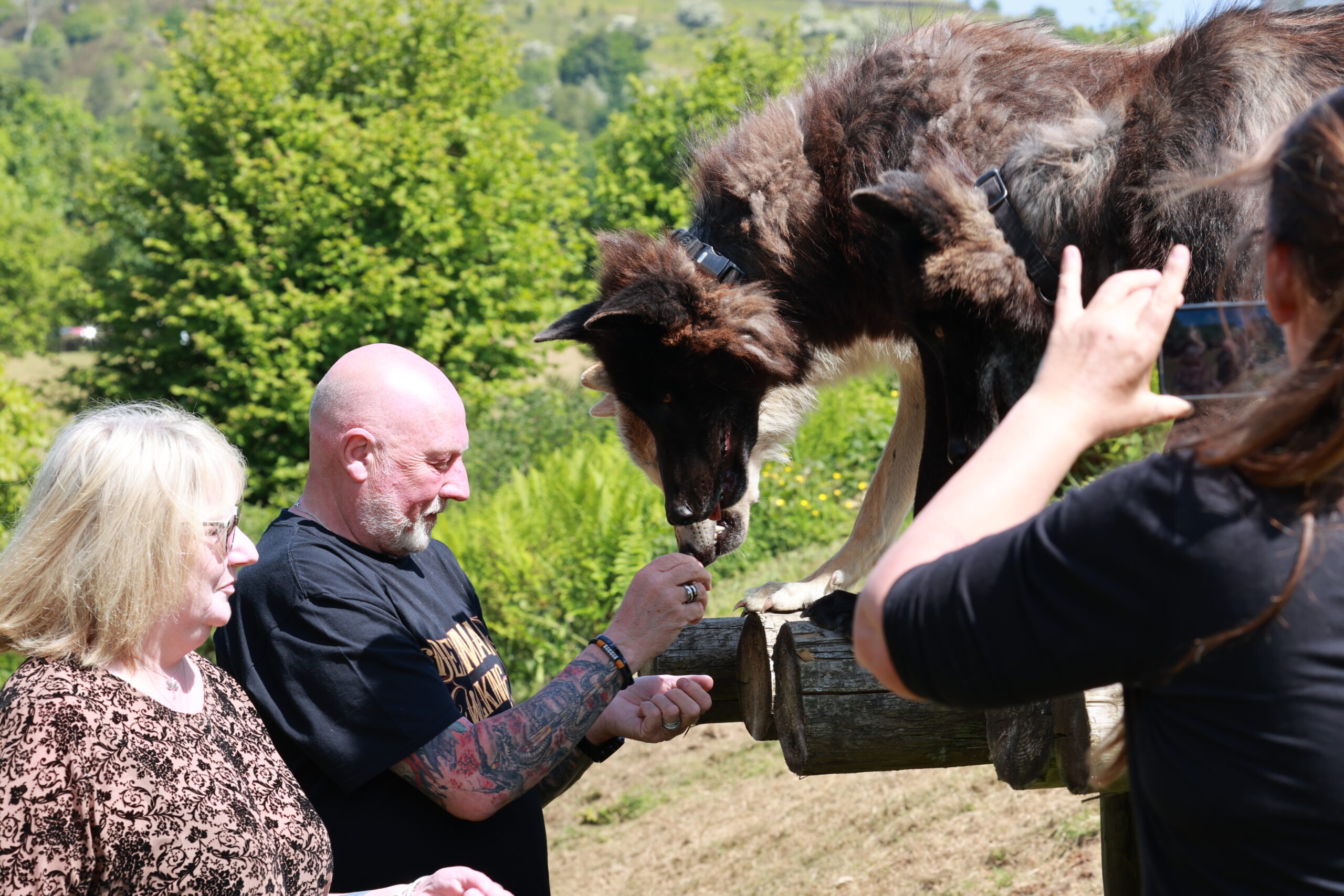 Image Gallery | Predator Park | Predator Experience Cumbria
