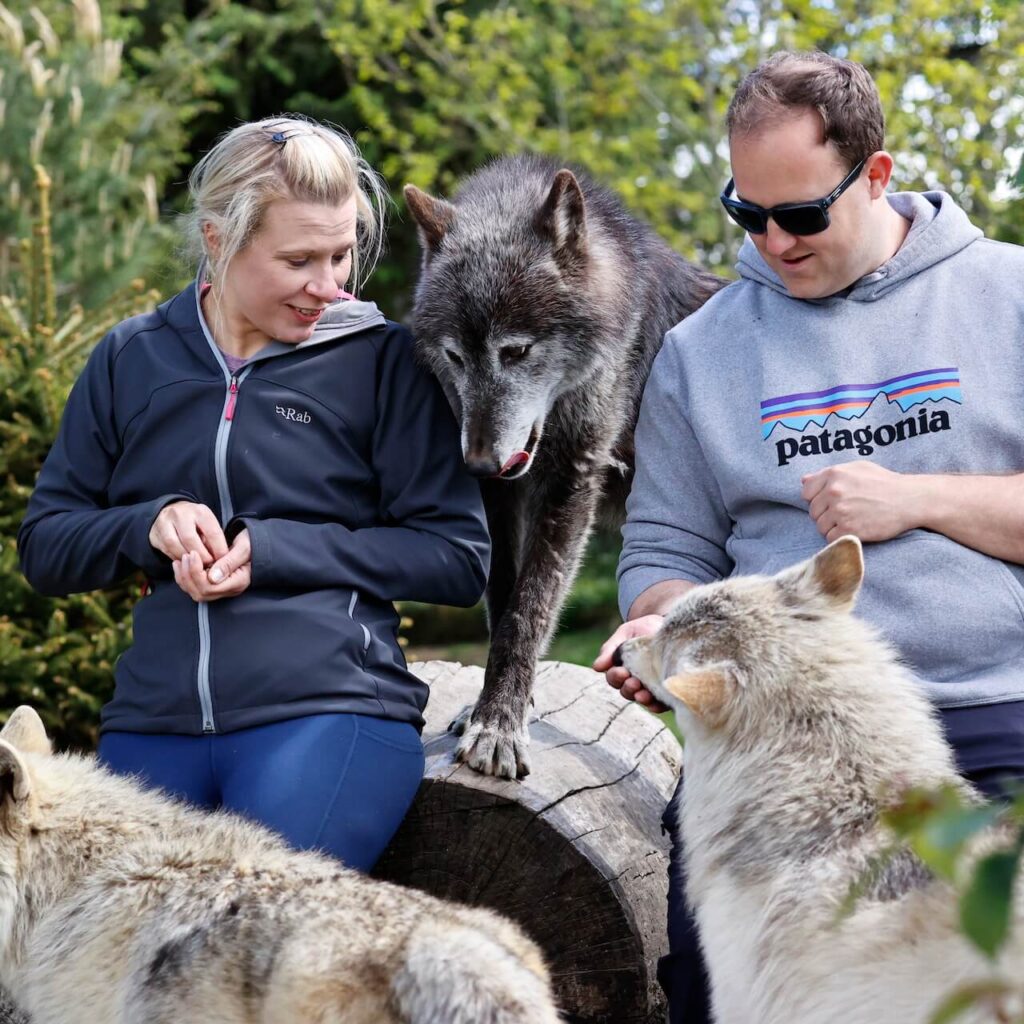 Book Your Walking with Wolves Animal Experience Online